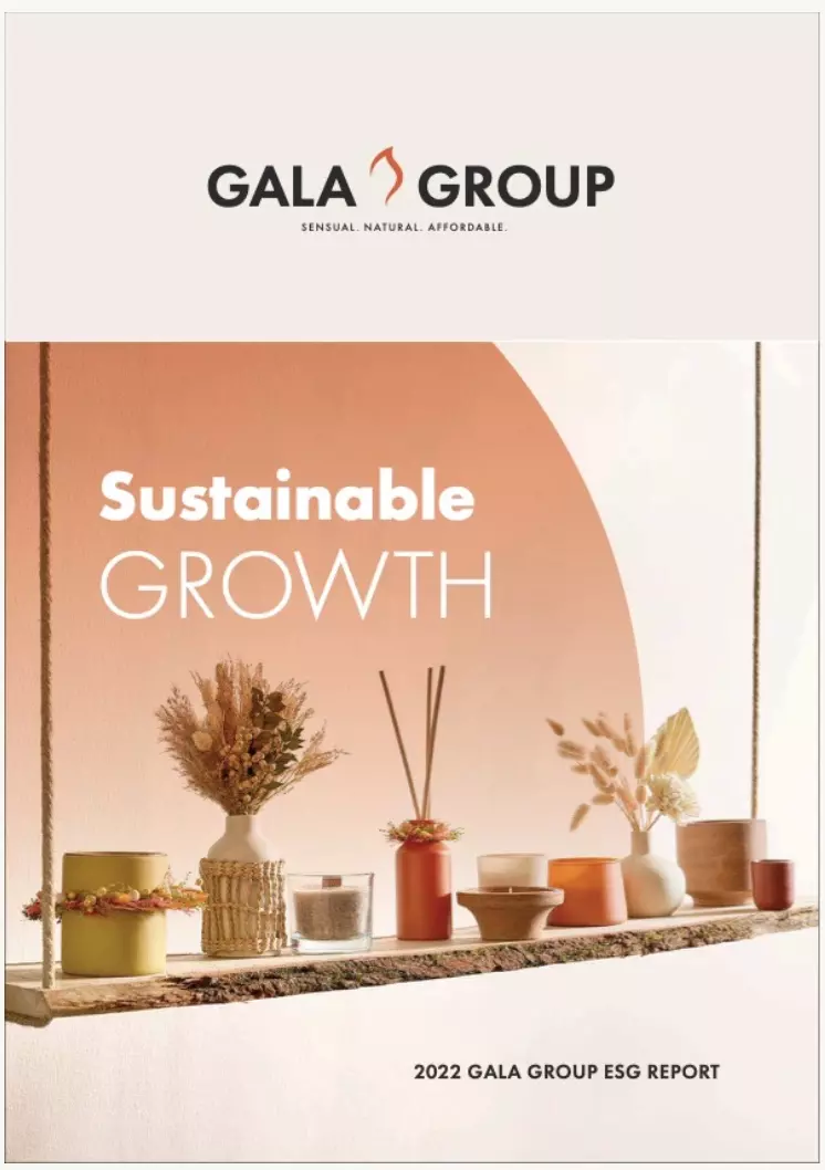 Sustainable Growth